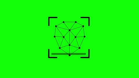 Facial Recognition Scanning Process Anim... | Stock Video | Pond5