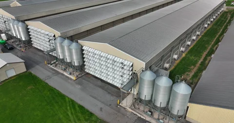Factory farm chicken houses. Massive ope... | Stock Video | Pond5