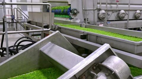 Frozen Production Stock Footage ~ Royalty Free Stock Videos | Pond5