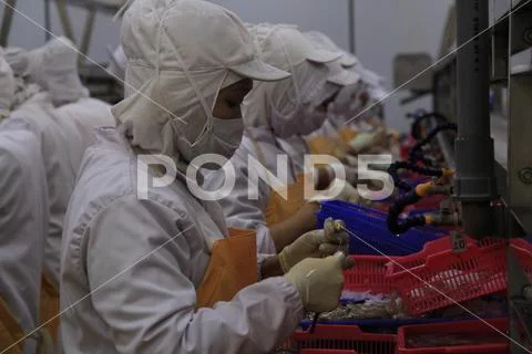 Factory workers always use personal protective equipment ~ Hi Res ...