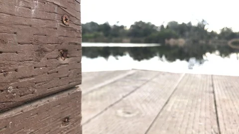 Fading Afternoon\ Stock Videos – Royalty-Free HD & 4K Videos | Pond5