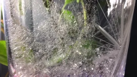 Fading Bubbles in Glass - Animated Stock... | Stock Video | Pond5