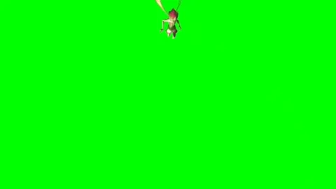 Green Screen Fairy Stock Videos – Royalty-Free HD & 4K Videos