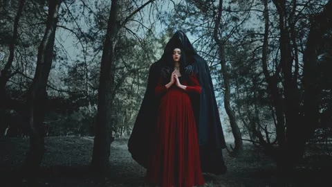 Fairy tale Gothic scared girl in the arm... | Stock Video | Pond5