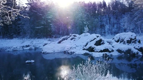 Fairy Forest Walk Stock Videos – Royalty-Free HD & 4K Videos | Page 2