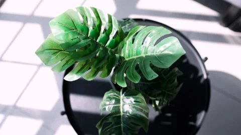 fake green plant on plastic plot | Stock Video | Pond5