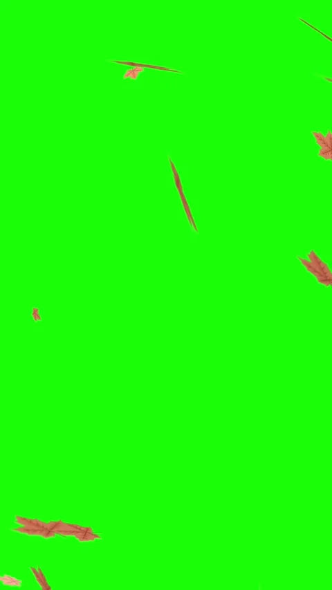 Fall autumn leaves animation - Vertical ... | Stock Video | Pond5