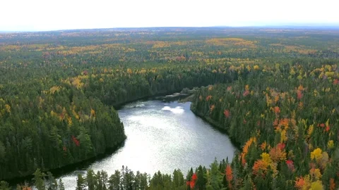 Fall Colors in Canada Forest, Aerial Foo... | Stock Video | Pond5
