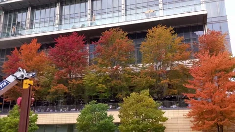 Fall colors on Chicago River boat tour p... | Stock Video | Pond5