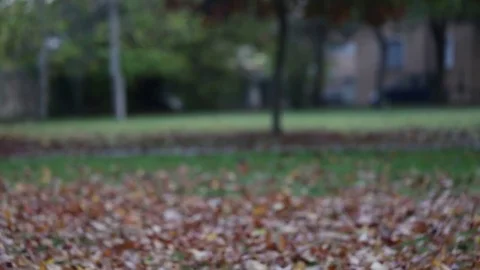 Fall Foliage Fun: Children's Playtime in... | Stock Video | Pond5