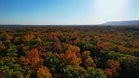 Fall Foliage Landscape in 4k | Stock Video | Pond5