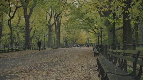 Fall Foliage in Manhattan, NYC - Central... | Stock Video | Pond5