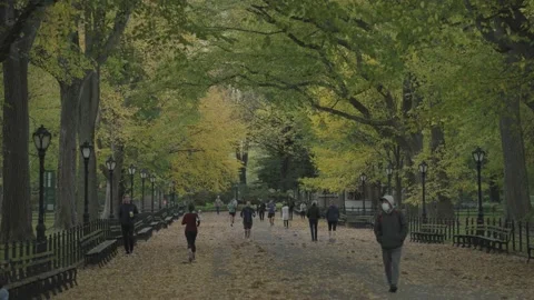 Fall Foliage in Manhattan, NYC - Central... | Stock Video | Pond5