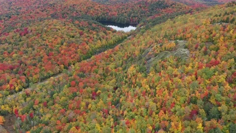 Fall Foliage near Panther Pond | Stock Video | Pond5