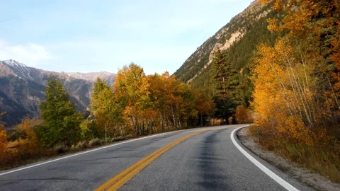 Fall foliage POV driving in the Rocky Mo... | Stock Video | Pond5