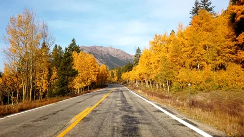 Fall foliage POV driving in the Rocky Mo... | Stock Video | Pond5