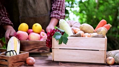 Cornucopia Stock Footage ~ Royalty Free Stock Videos | Pond5