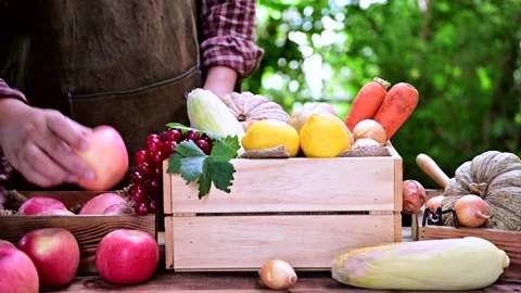 Cornucopia Stock Footage ~ Royalty Free Stock Videos | Pond5