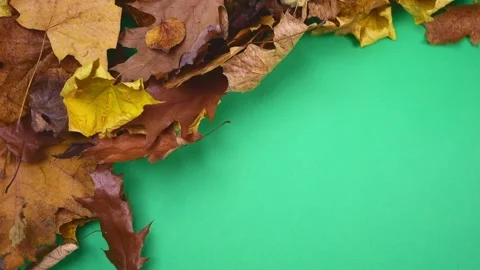 Fall leaves sweep across a green screen,... | Stock Video | Pond5