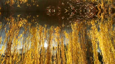 Fall Motion Background | Stock Video | Pond5