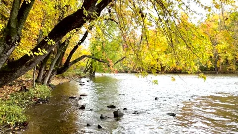 Fall scene along Grand river, Michigan, ... | Stock Video | Pond5