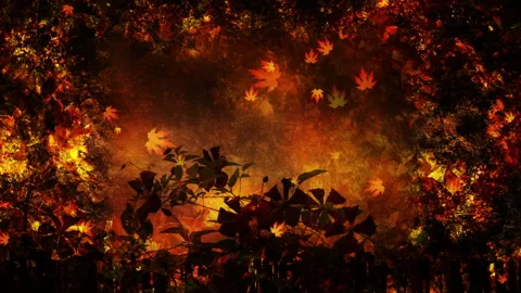 Fall Season Background Loop | Stock Video | Pond5