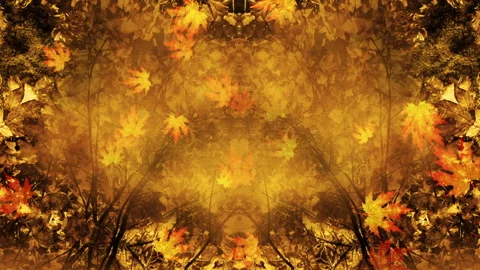 Fall Season Background Loop | Stock Video | Pond5