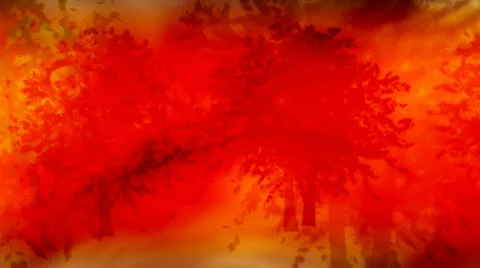 Fall trees Looping Background | Stock Video | Pond5