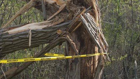 Caution Tape Stock Video Footage | Royalty Free Caution Tape Videos | Pond5