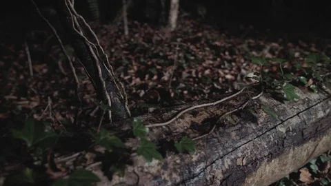 Floor Night Stock Footage ~ Royalty Free Stock Videos | Pond5