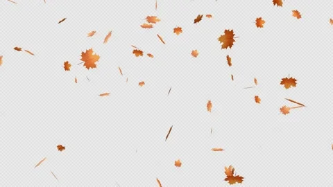 Water Drop Falling Leaves Animation Stock Video Footage | Royalty Free ...