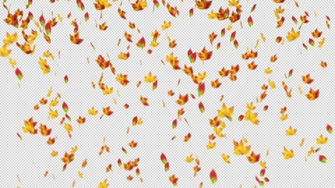Falling Autumn Leaves Background Loop | Stock Video | Pond5