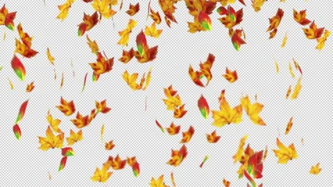 Falling Autumn Leaves Background Loop | Stock Video | Pond5