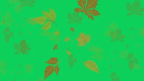 Falling Autumn Leaves on Green Screen | Stock Video | Pond5
