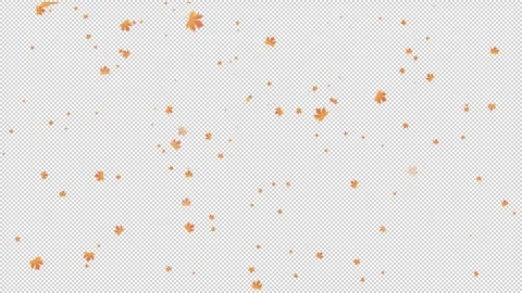 Autumn The Bottom Stock Videos – Royalty-Free HD & 4K Videos