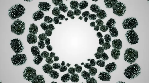Falling BLACKBERRIES Background, Loop, w... | Stock Video | Pond5