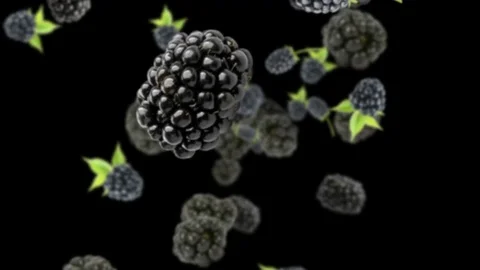 Falling Blackberries Background, Loop | Stock Video | Pond5