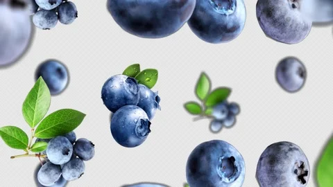 Falling blueberry Background, with Alpha... | Stock Video | Pond5