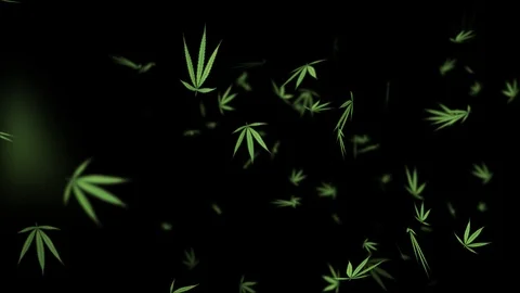 Falling cannabis leaves from left, cross... | Stock Video | Pond5