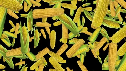 Falling Corn Animation, Background, Loop... | Stock Video | Pond5