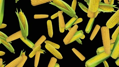 Falling Corn Background Animation, with ... | Stock Video | Pond5