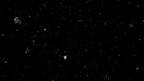 Real Snow Falling Stock Footage ~ Royalty Free Stock Videos | Pond5
