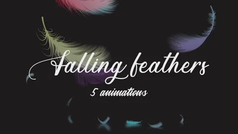 Falling Feathers ~ After Effects Template #244806843 | Pond5