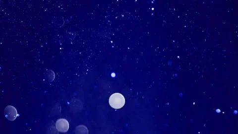 Falling floating glitter particles with ... | Stock Video | Pond5