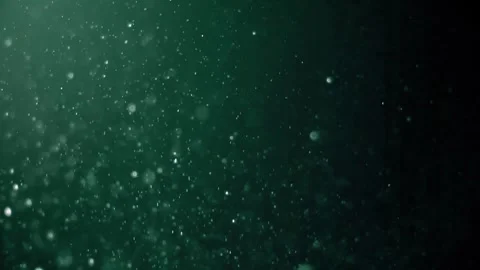 Falling Small Green Particles Anyday Anyday Added A New Photo.