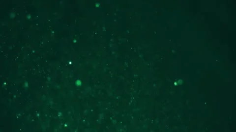 Floating Particles Green Screen Stock Video Footage | Royalty Free ...