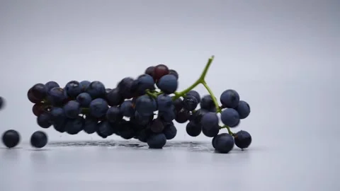 falling fresh grapes on gray background | Stock Video | Pond5