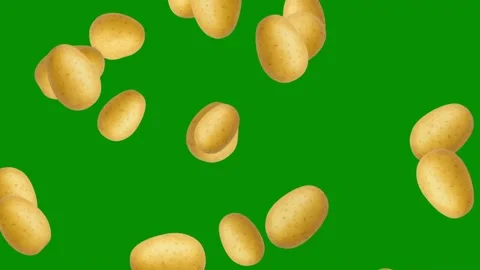 Potato Graphics Stock Videos – Royalty-Free HD & 4K Videos | Pond5