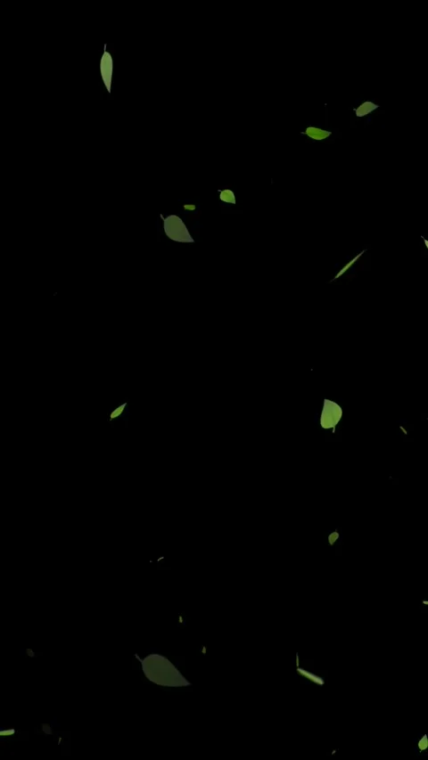 Falling Leaf Animation Stock Videos – Royalty-Free HD & 4K Videos