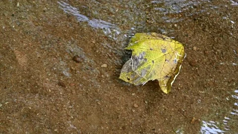 Falling In Revr Stock Videos – Royalty-Free HD & 4K Videos | Pond5